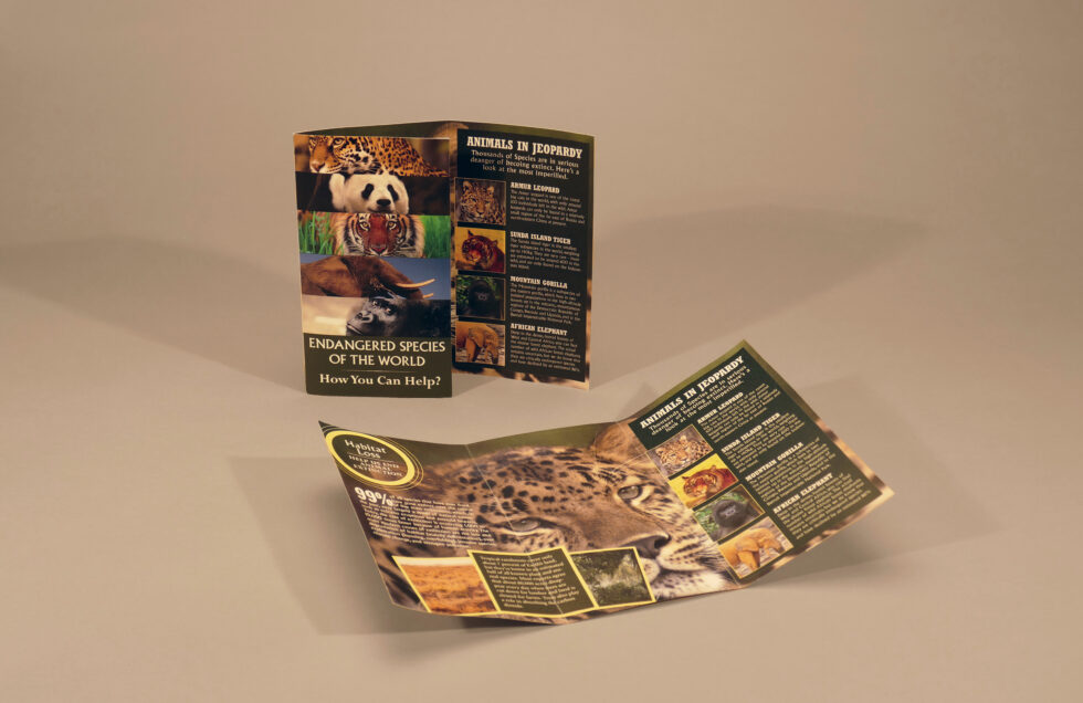 Endangered Species Brochure | Welcome